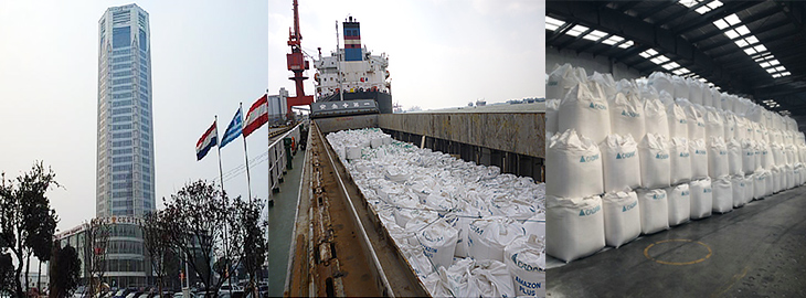 海外拠点 | 事業拠点 | 伊勢湾海運株式会社